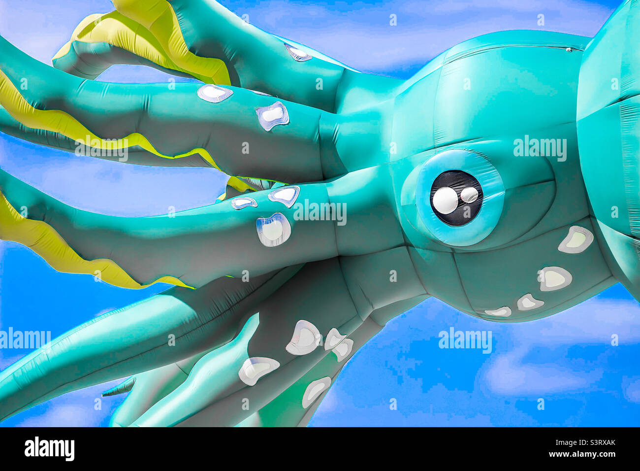 Octopus spots hi-res stock photography and images - Alamy