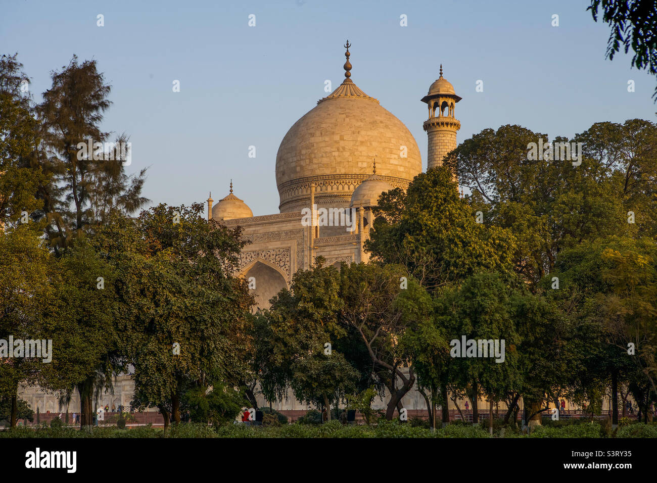 Taj Mahal Through Trees Stock Photo - Alamy