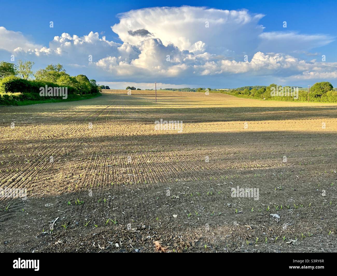 Nimbostratus rain cloud hi-res stock photography and images - Alamy