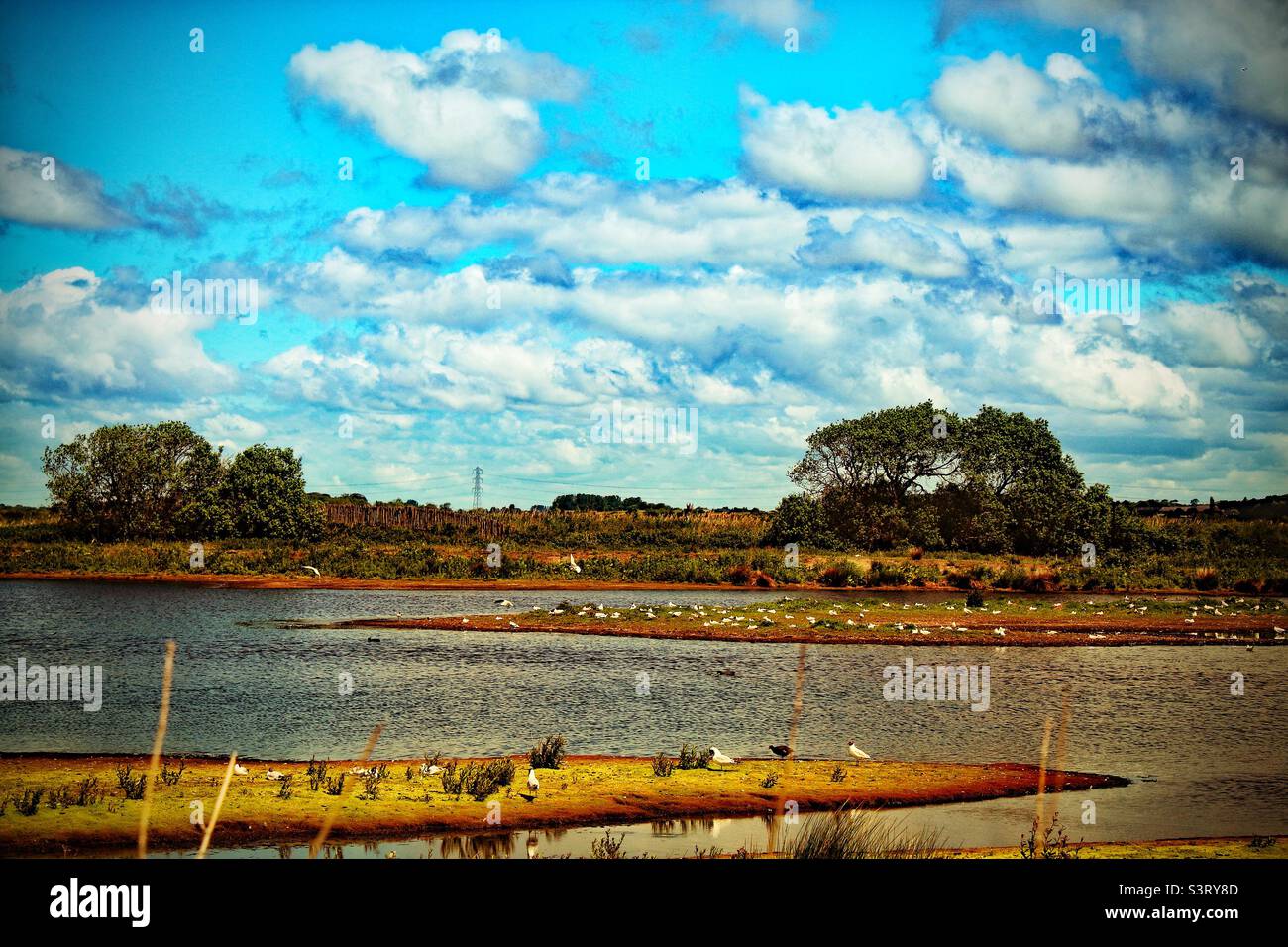 A beautiful landscape shot at a nature reserve in Lunt. Ducks and other ...