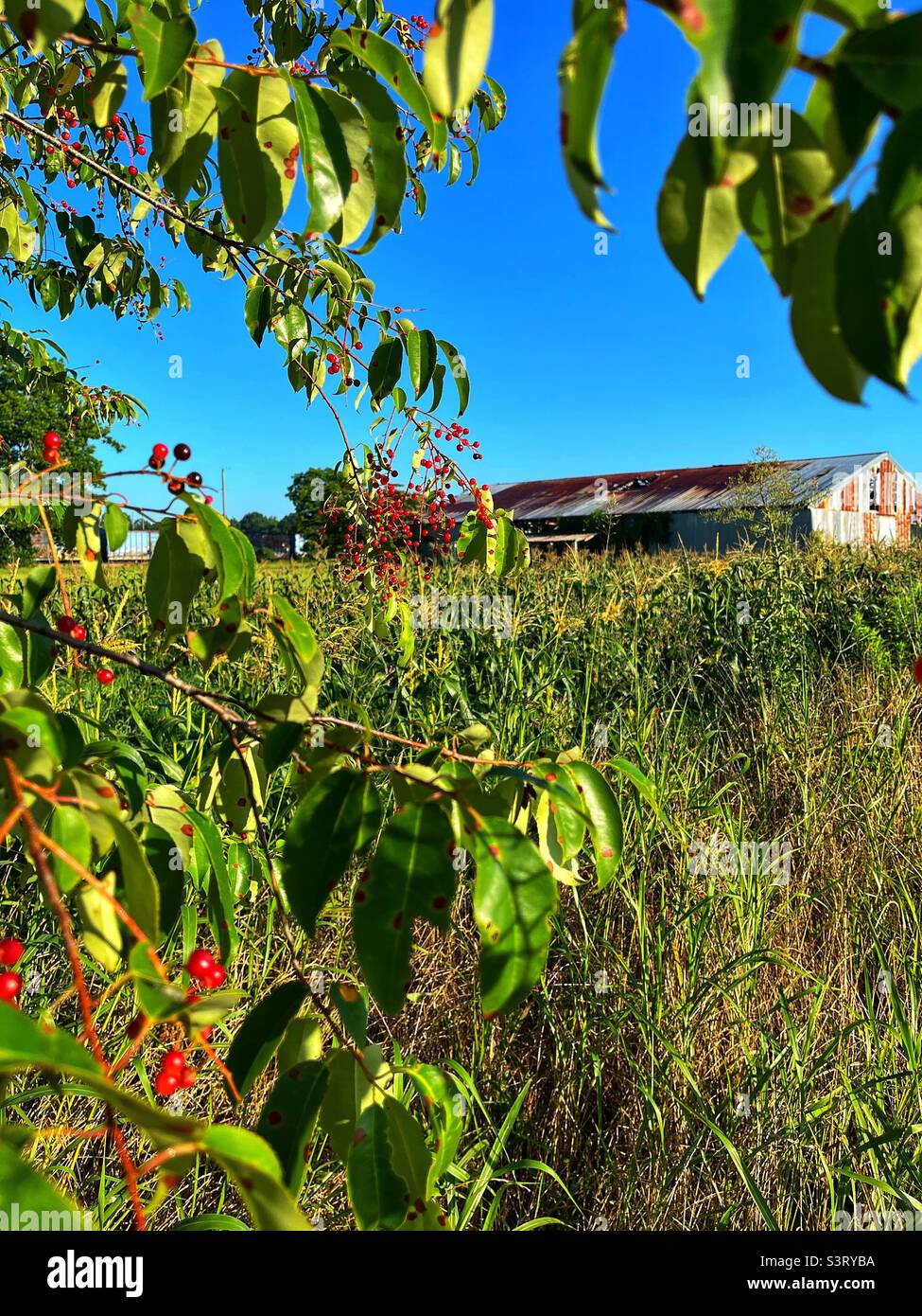 Old country barns hi-res stock photography and images - Alamy