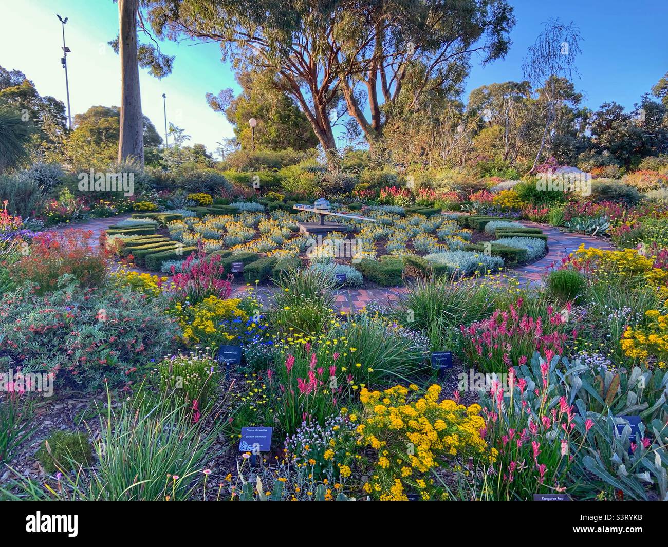 Wildflower display hi-res stock photography and images - Alamy