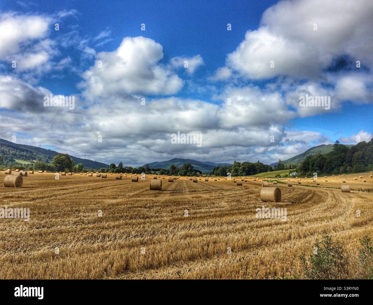 Stubble fields hi-res stock photography and images - Alamy