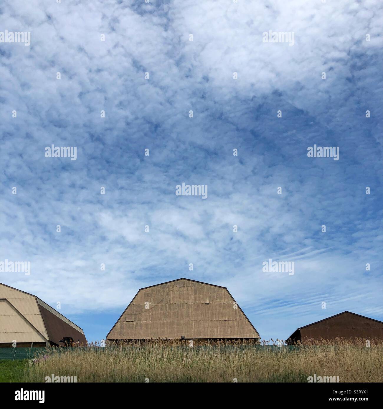 Three barn type structures used as commercial space in Butler ...