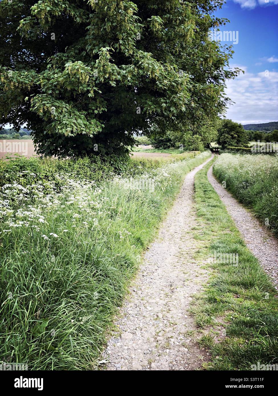 Farm track heading into the countryside in North Yorkshire, England ...
