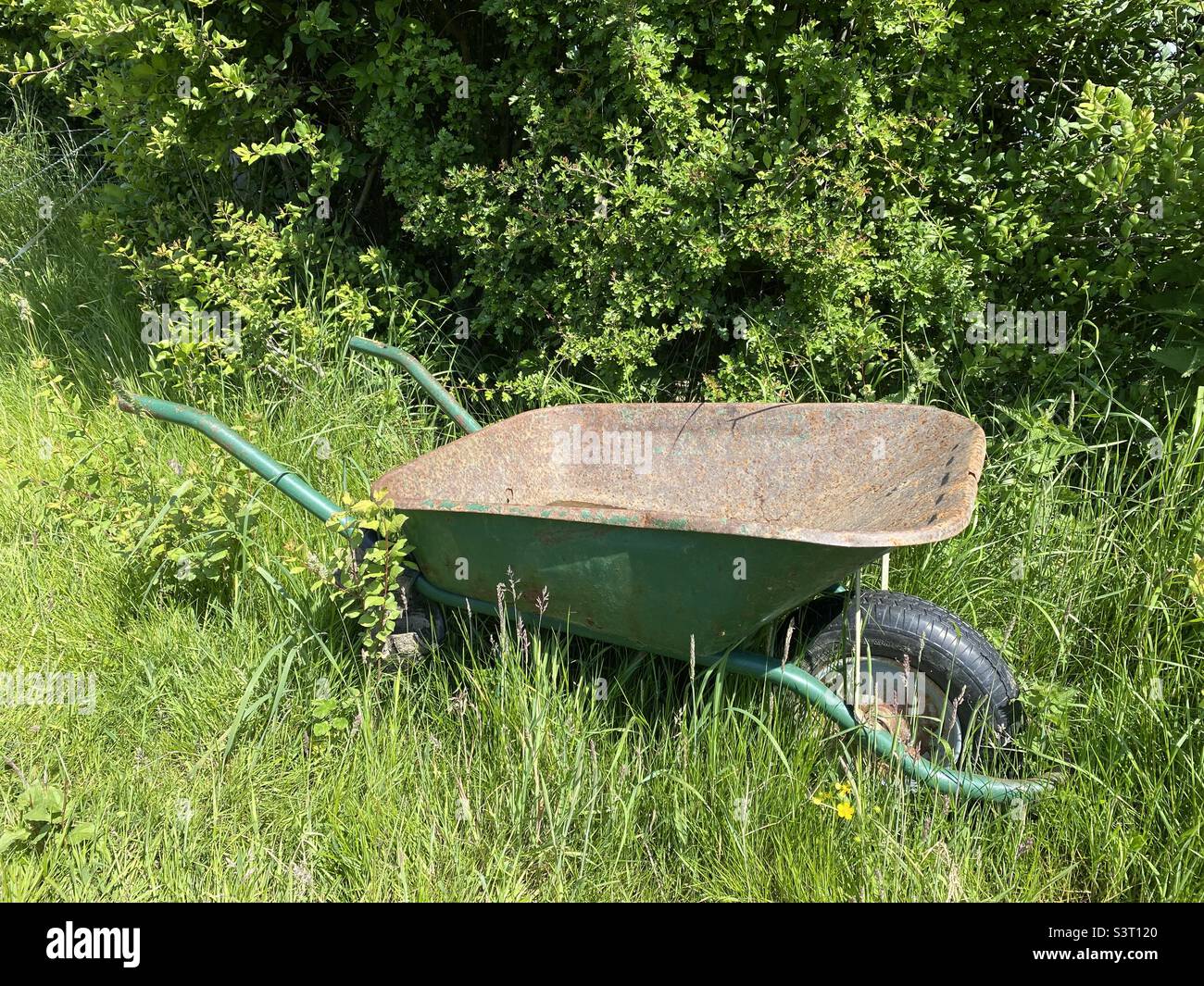 Wheelbarrow with grass hi-res stock photography and images - Alamy