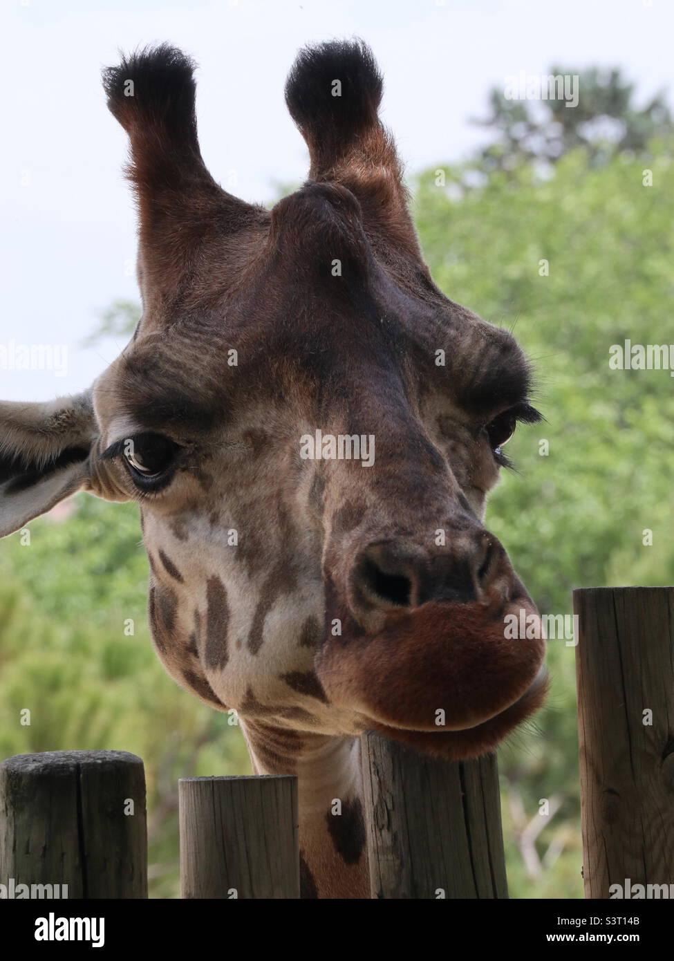 Happy close up hi-res stock photography and images - Alamy