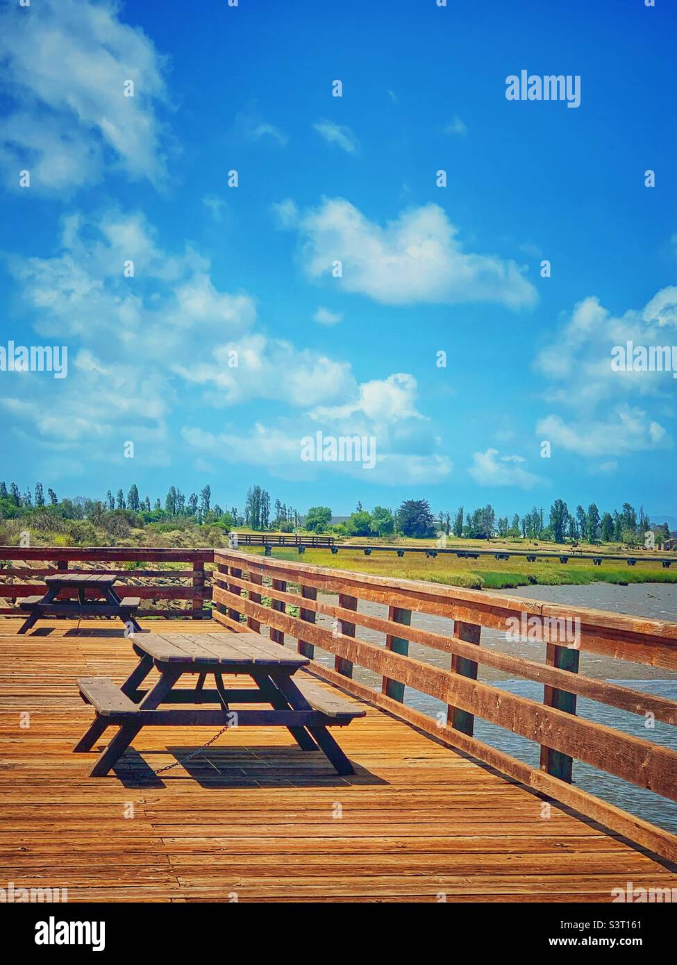 Park benches at the beach Stock Photo - Alamy