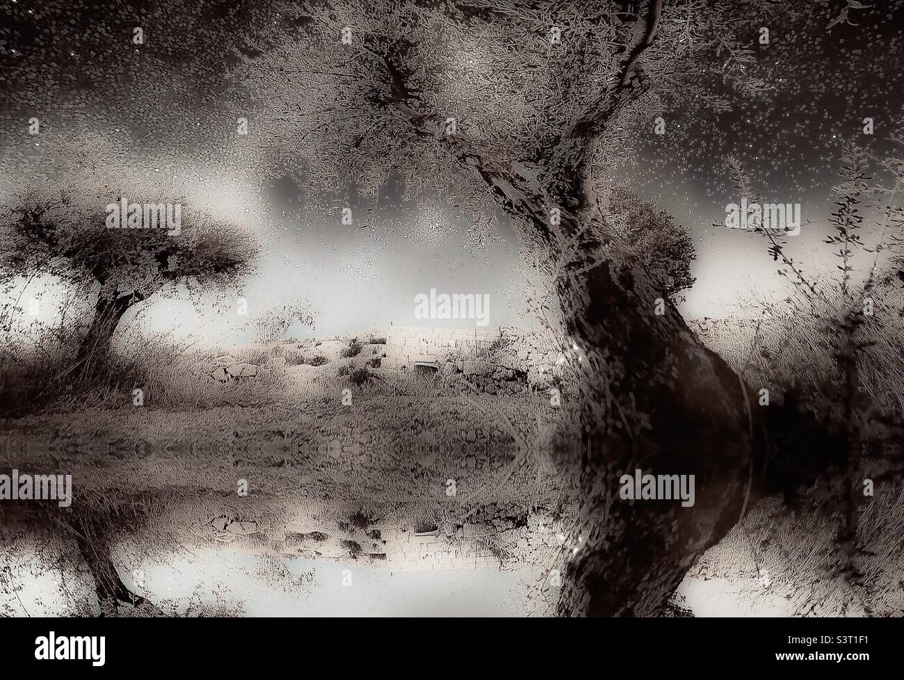 Mirrored canvas hi-res stock photography and images - Alamy