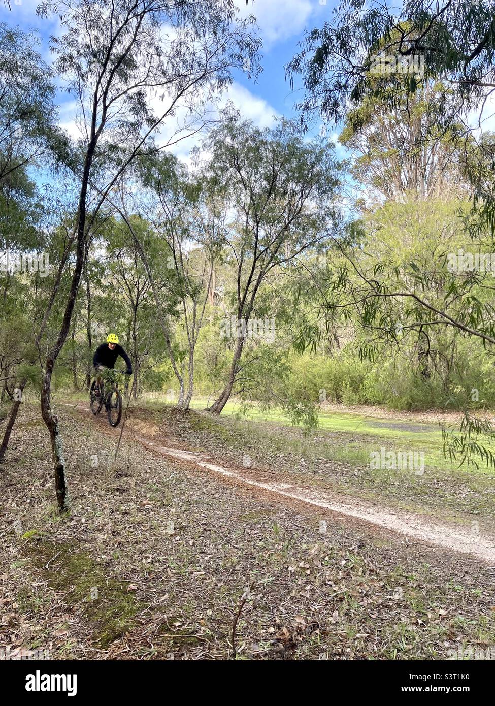 Wadandi hi-res stock photography and images - Alamy