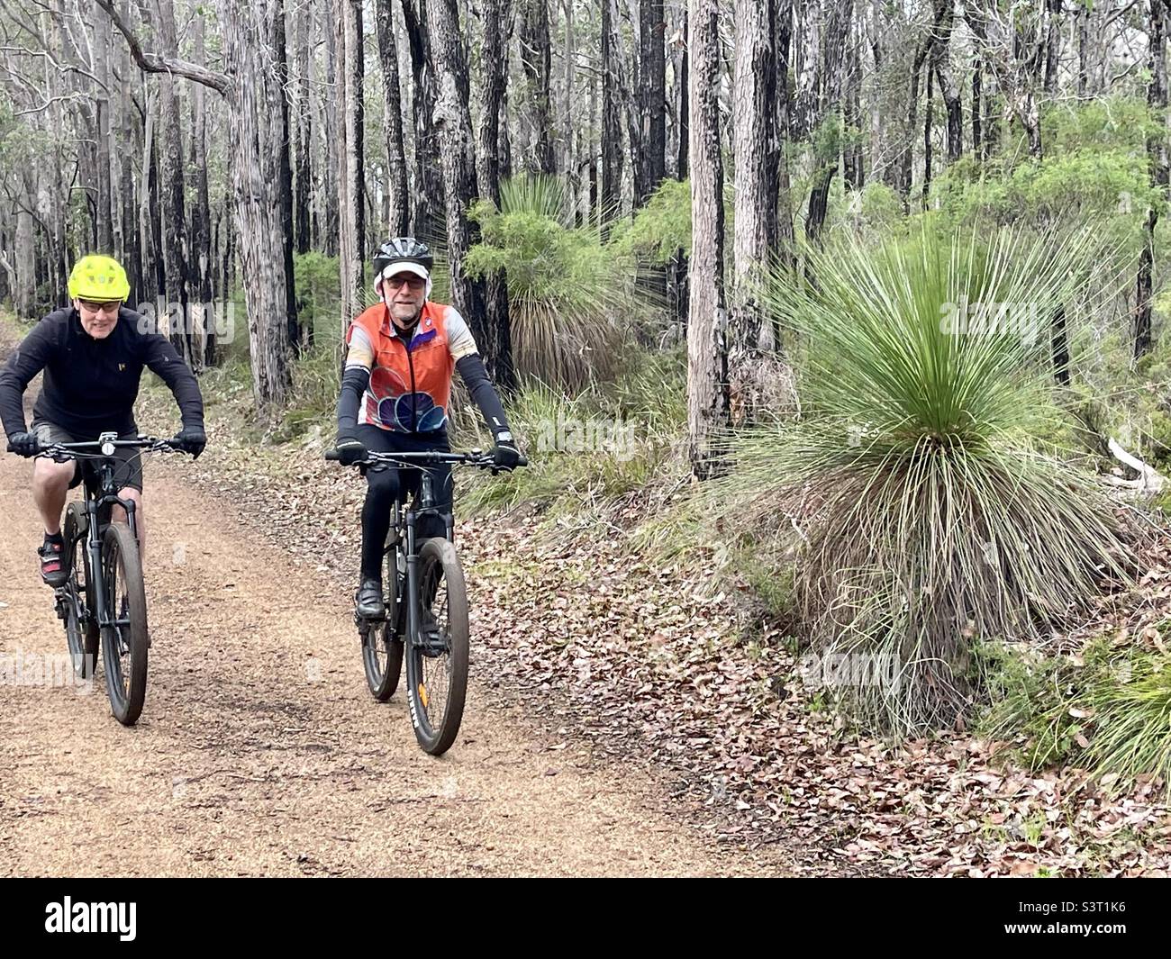 Wadandi hi-res stock photography and images - Alamy