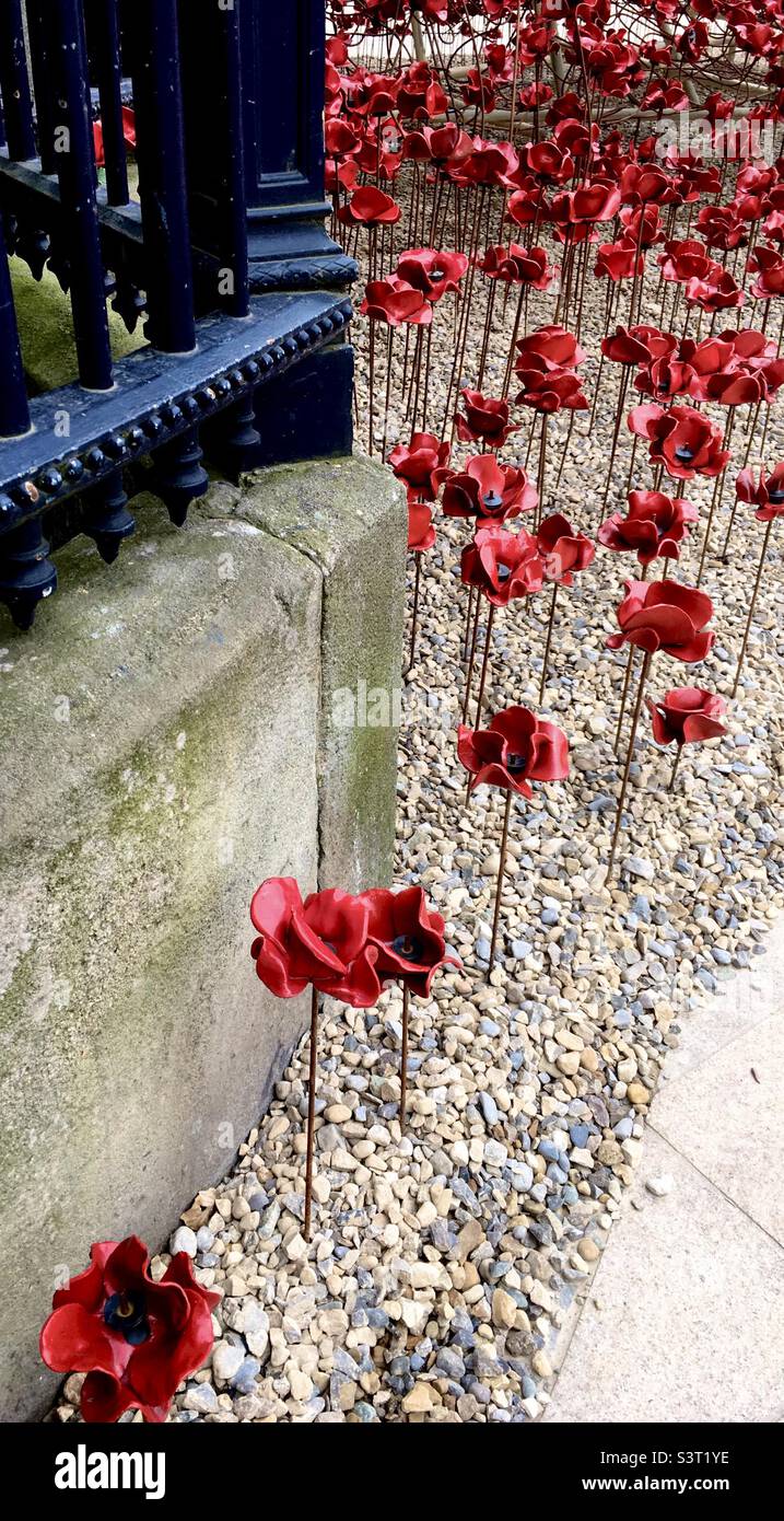 Ceramic poppy display hi-res stock photography and images - Alamy
