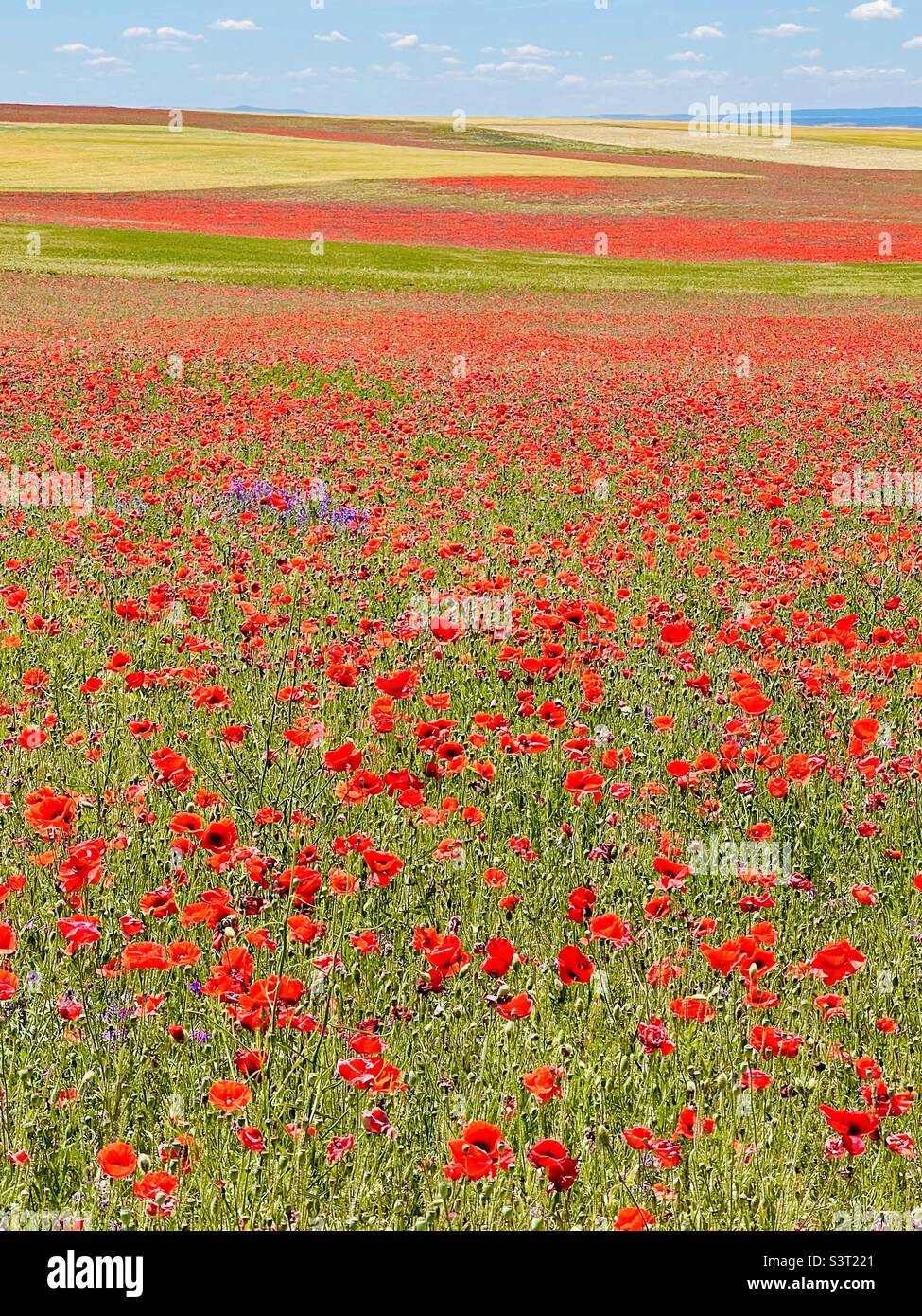 Spring landscape soria spain smartphone stock photos and images - Alamy