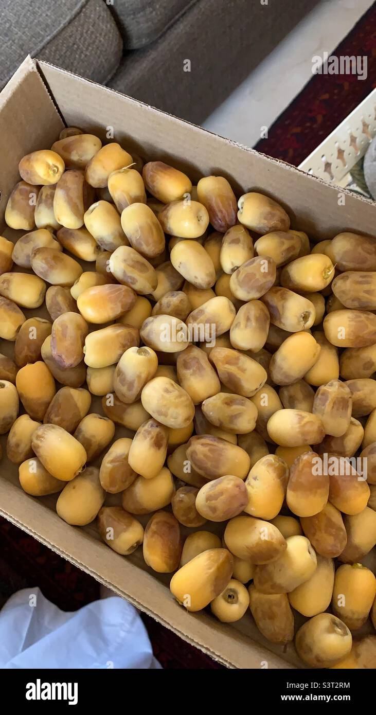 Saudi arabia dates hi-res stock photography and images - Alamy