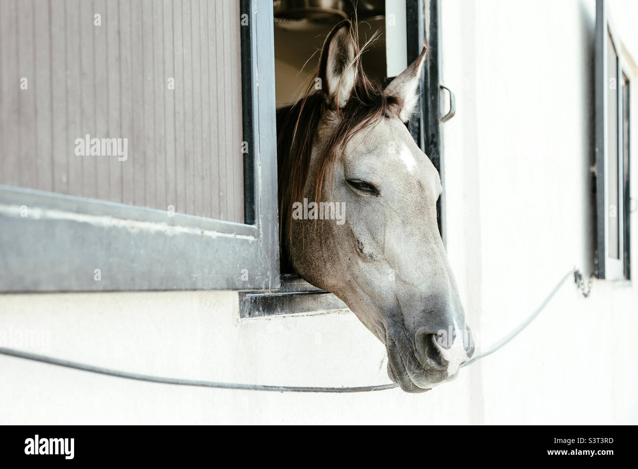 Animal stables hi-res stock photography and images - Alamy
