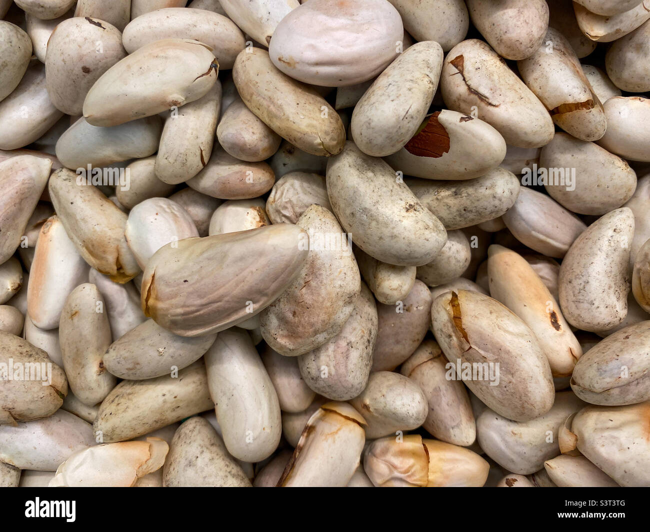 Jack fruit seeds on sale in an Asian supermarket Stock Photo - Alamy