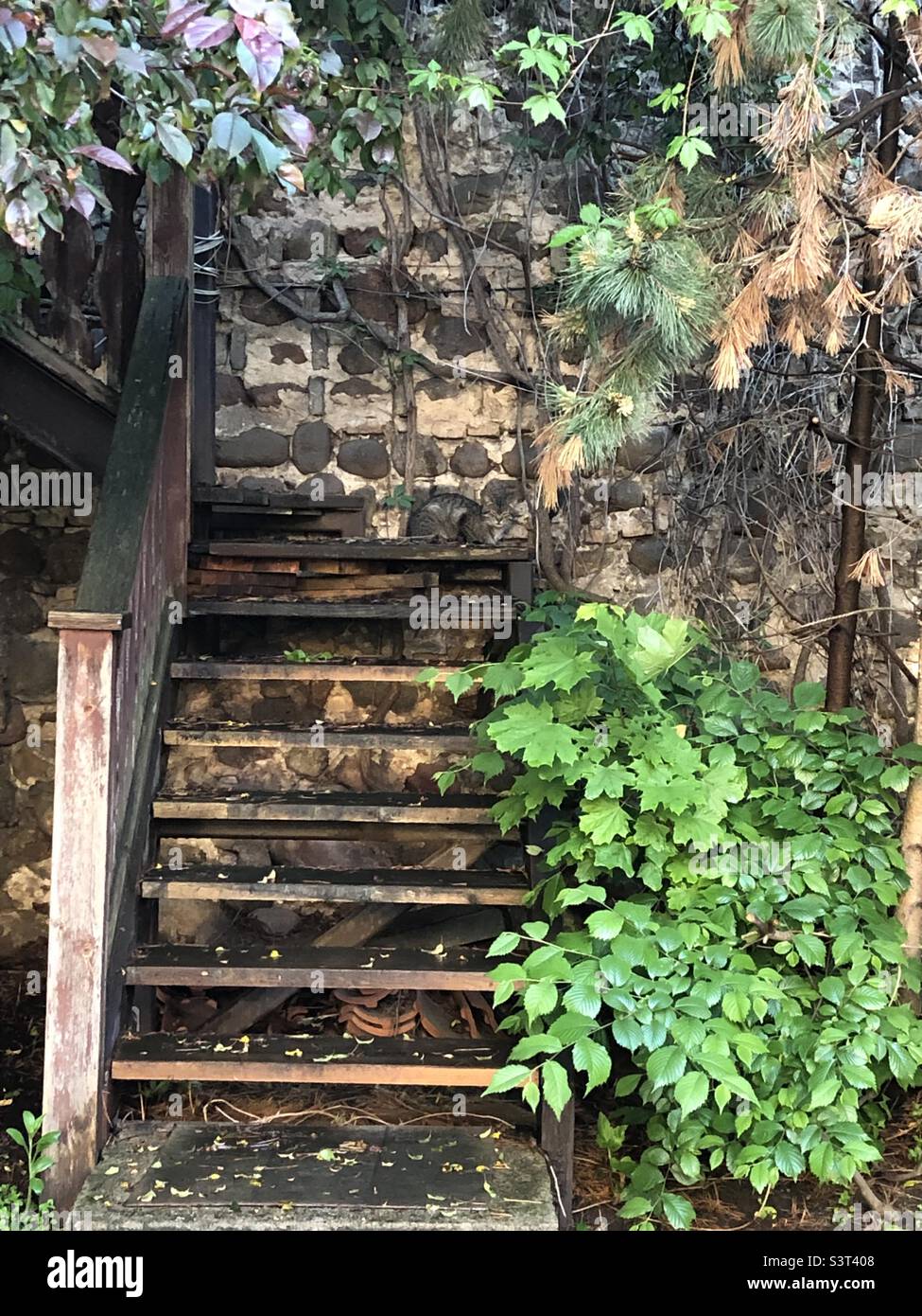 Chilling in stairs hi-res stock photography and images - Alamy
