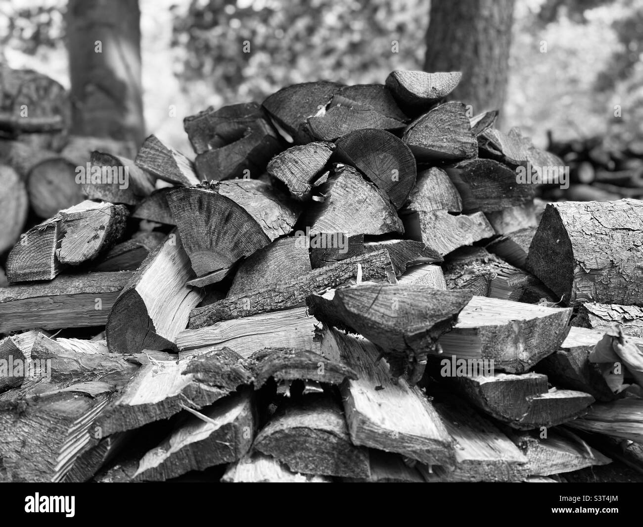 How to stack logs hi-res stock photography and images - Alamy