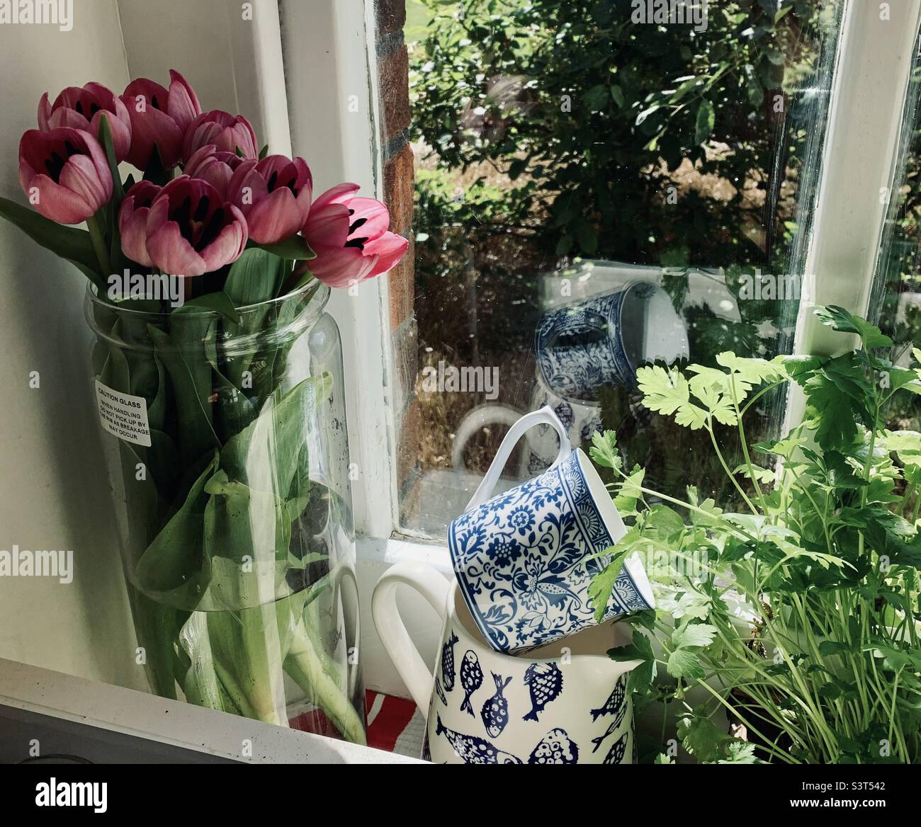 Window box display Stock Photo - Alamy