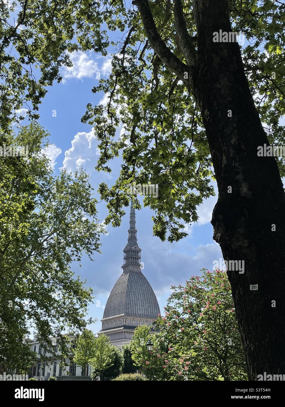 La mole hi-res stock photography and images - Alamy