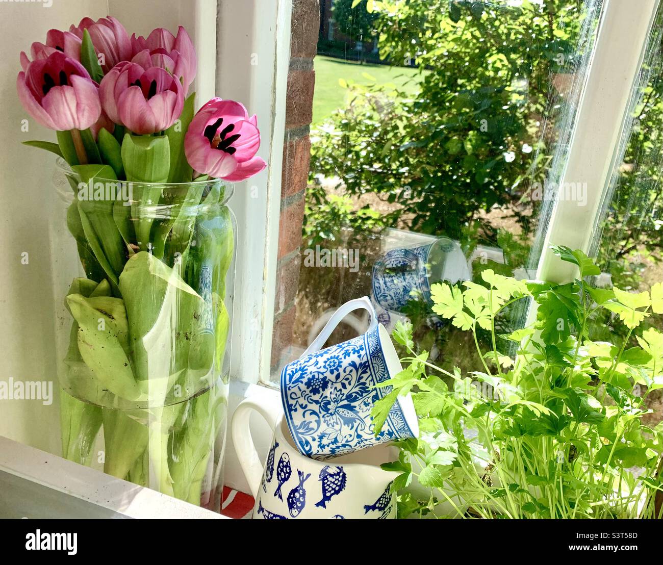 Window box display Stock Photo - Alamy