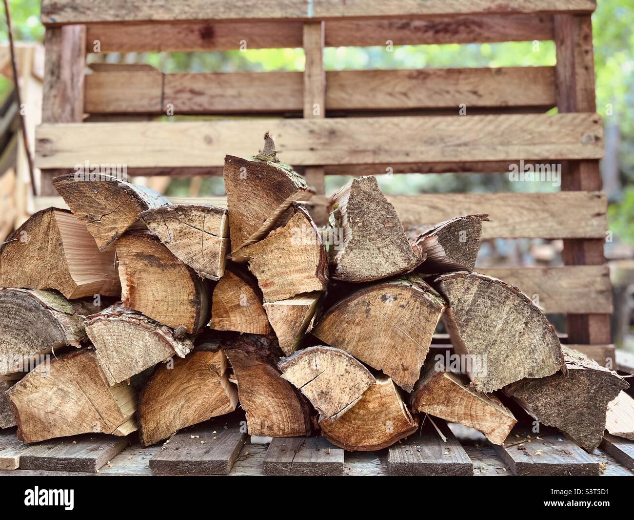 Stack of logs Stock Photo - Alamy