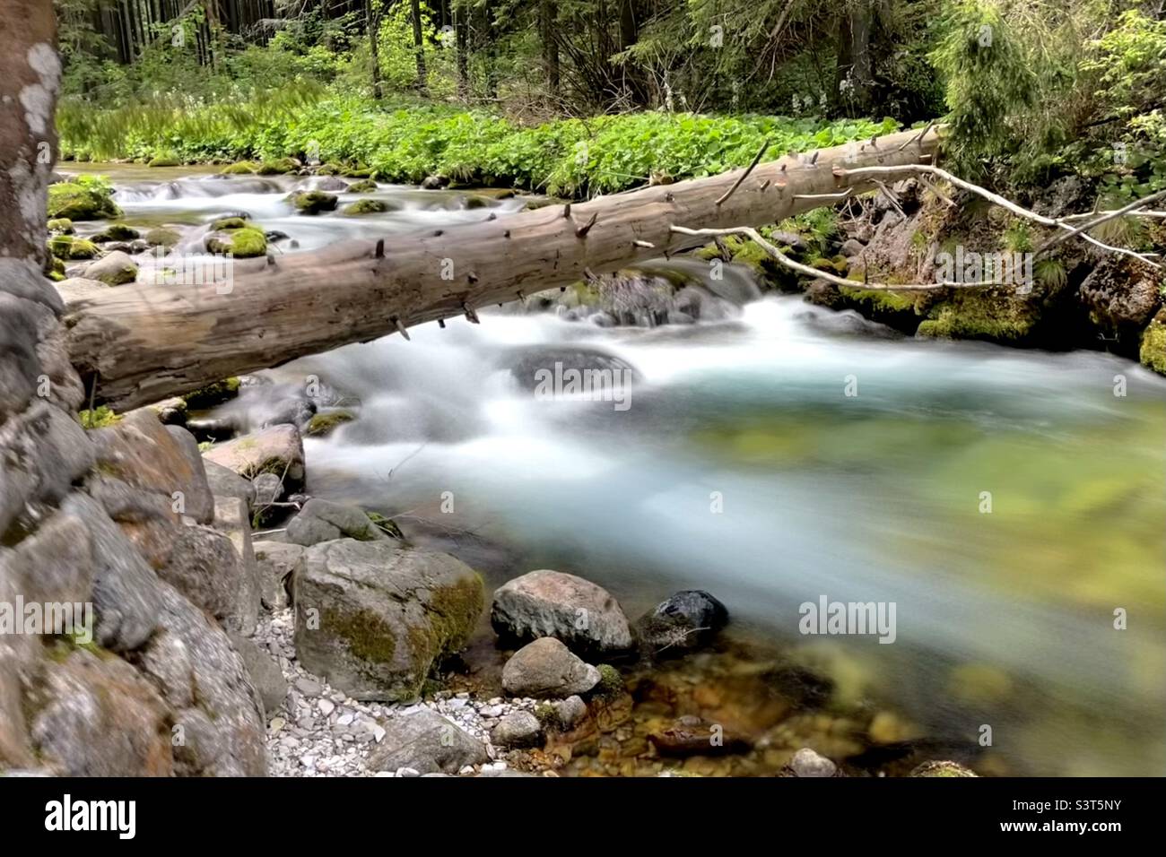 Potok hi-res stock photography and images - Alamy