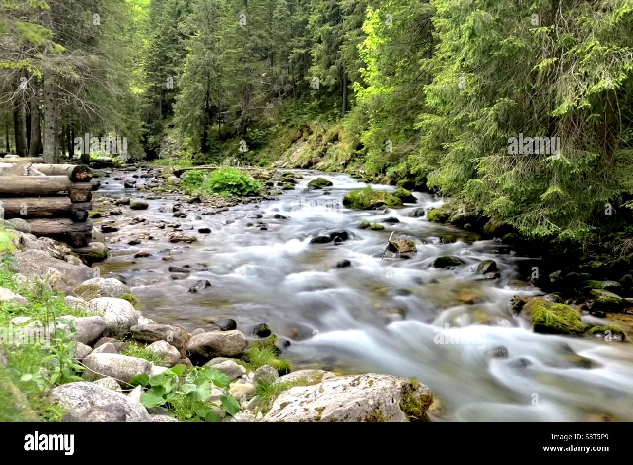 Potok hi-res stock photography and images - Alamy