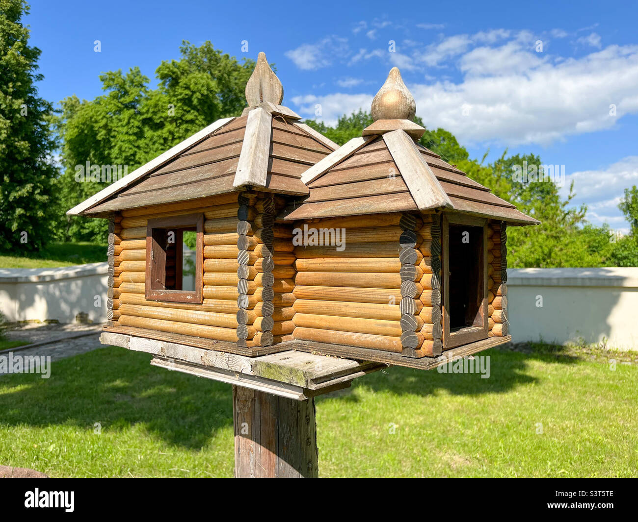 Bait bird hi-res stock photography and images - Alamy