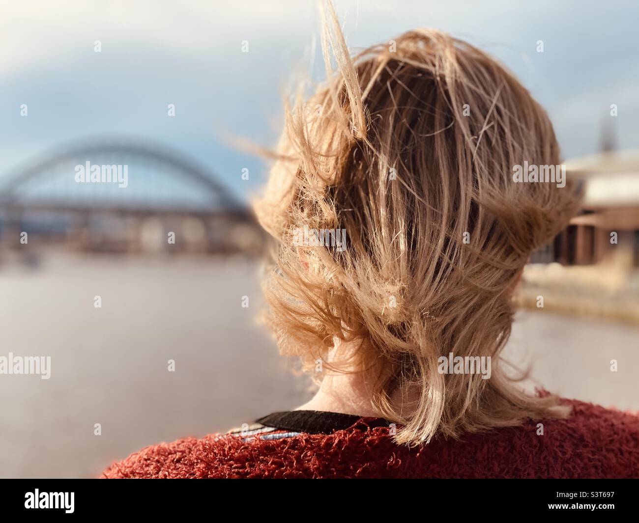 Blonde hair rear view hi-res stock photography and images - Alamy