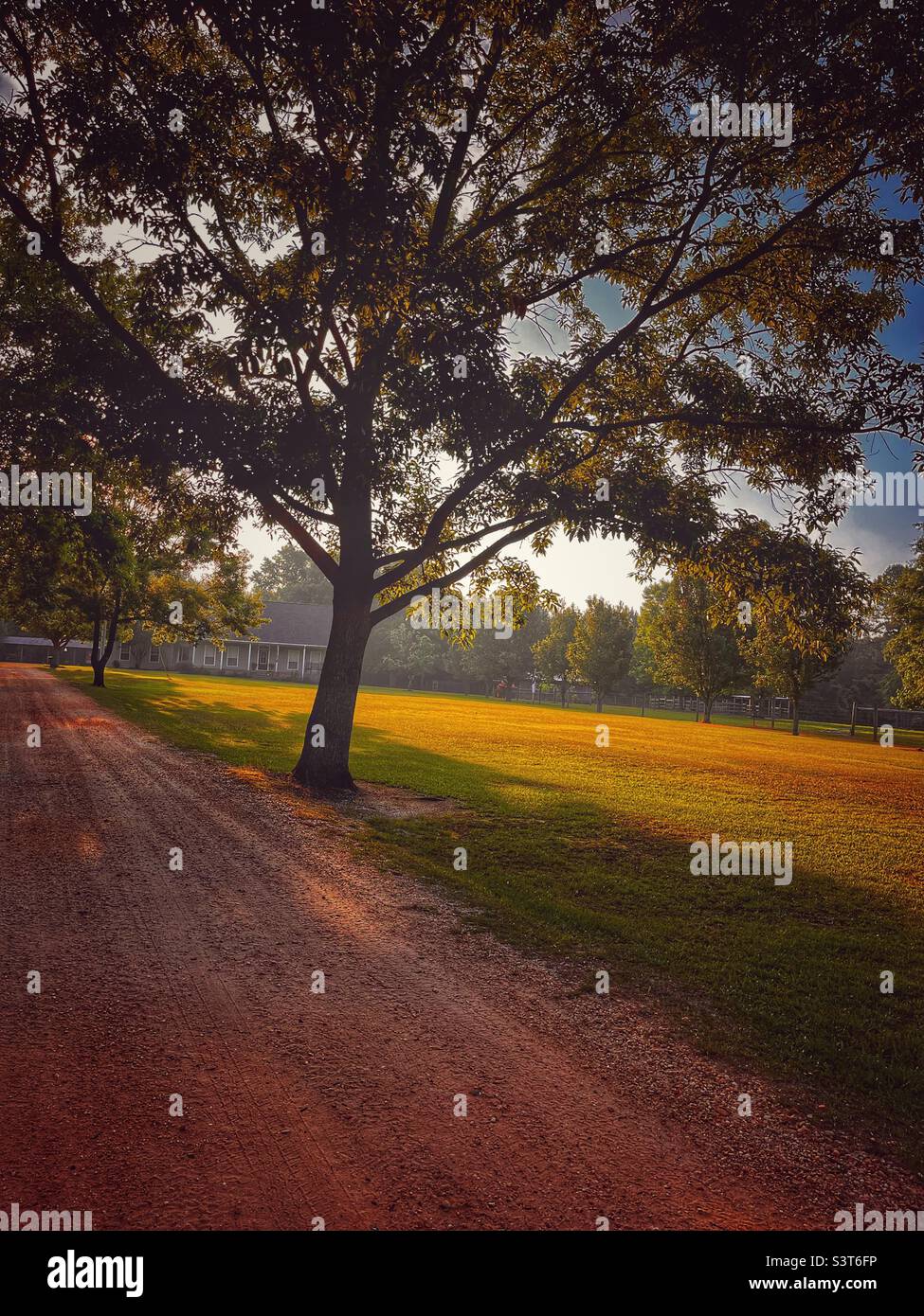 Sunrise farm hi-res stock photography and images - Alamy