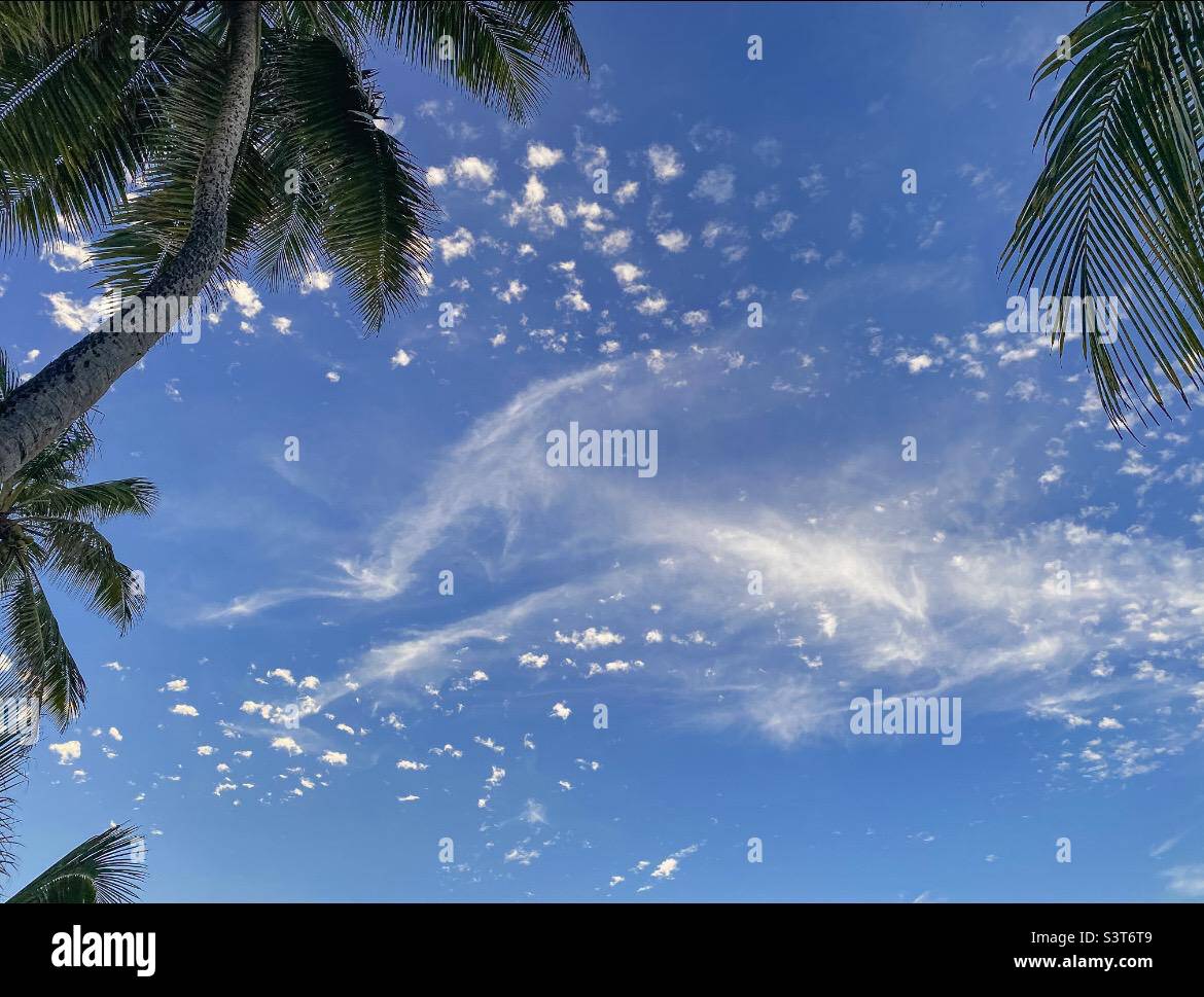 Magical summer hi-res stock photography and images - Alamy