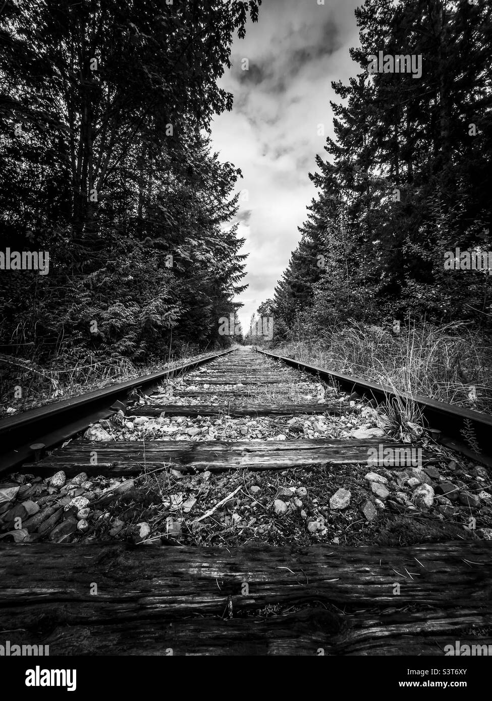 Trees by railway Black and White Stock Photos & Images - Alamy