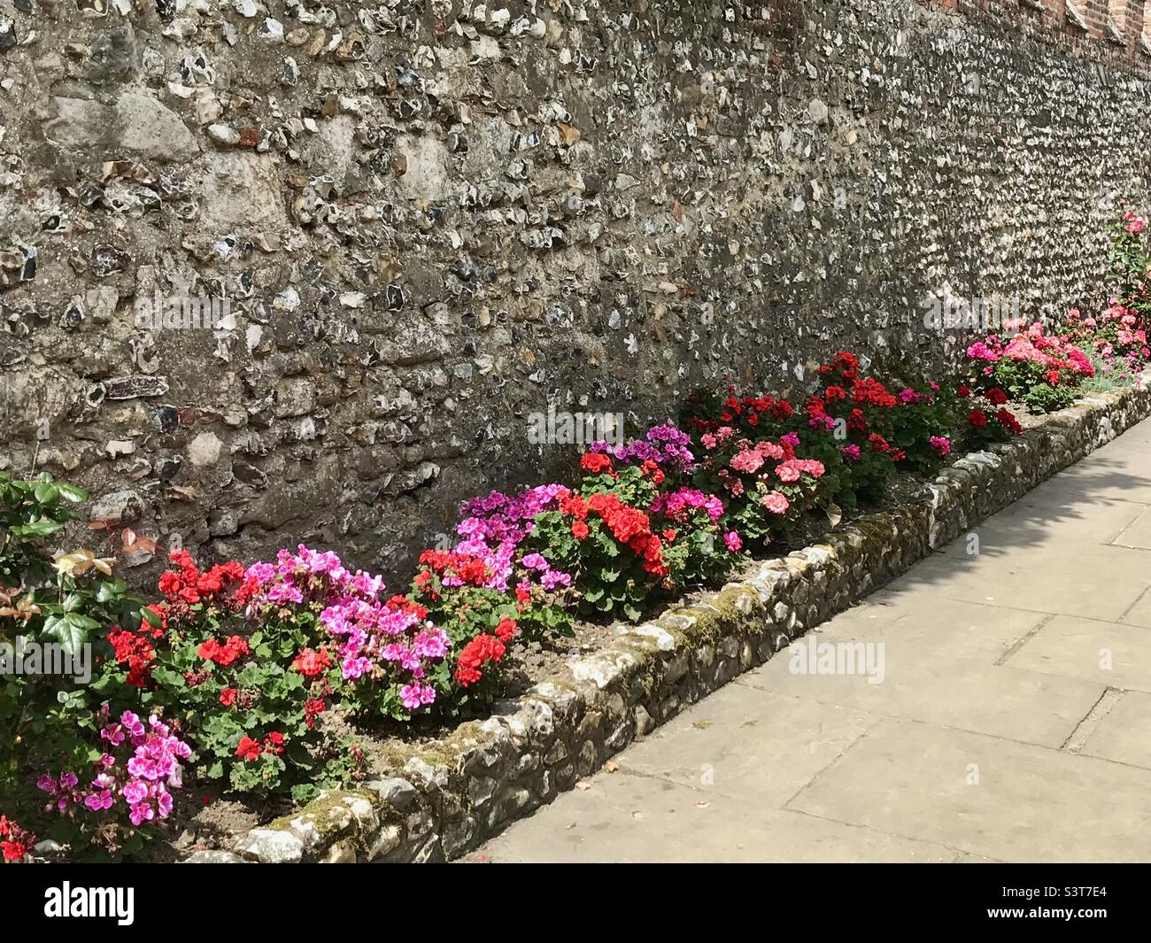 Begonia avenue hi-res stock photography and images - Alamy