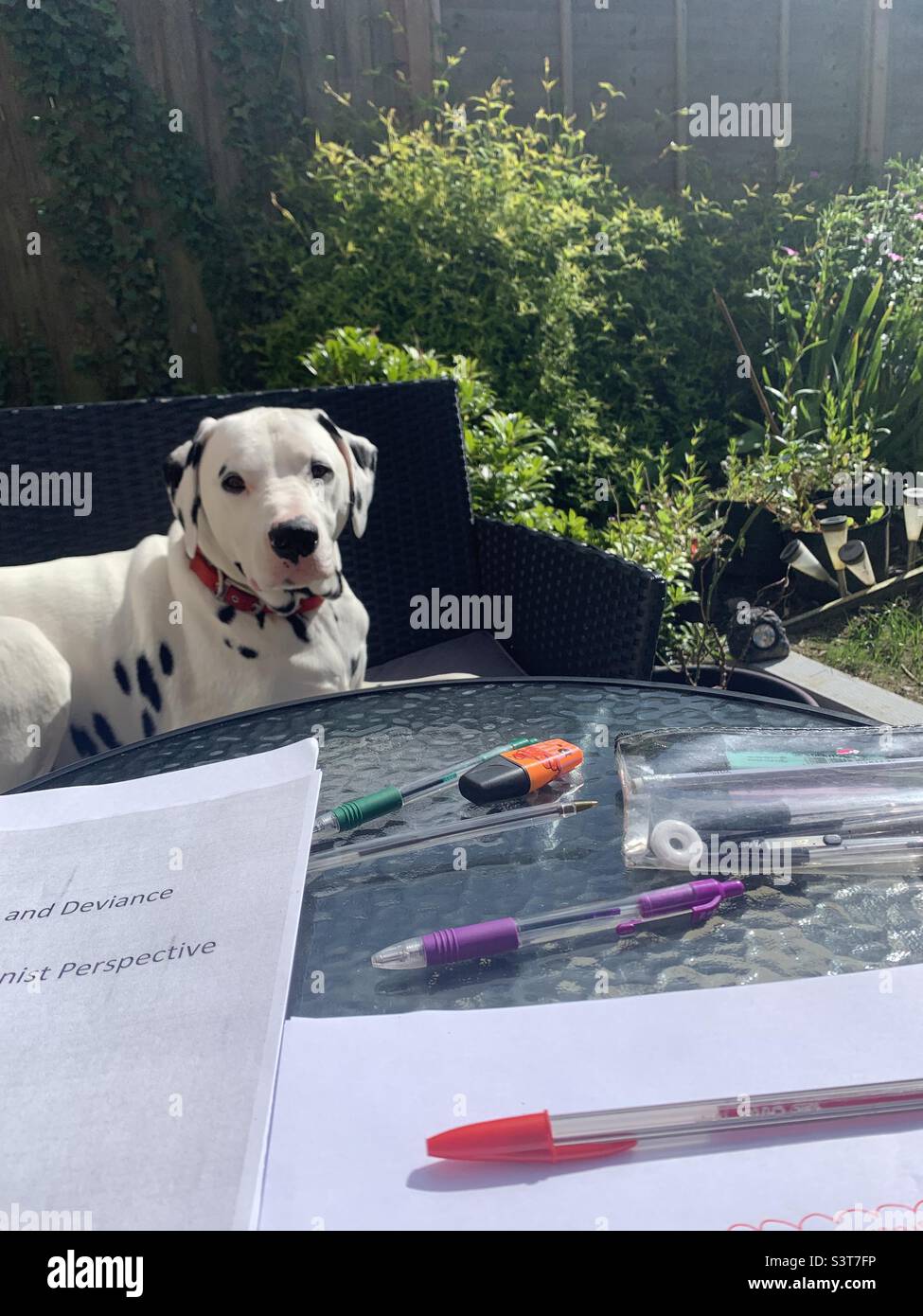 Revision work hi-res stock photography and images - Alamy