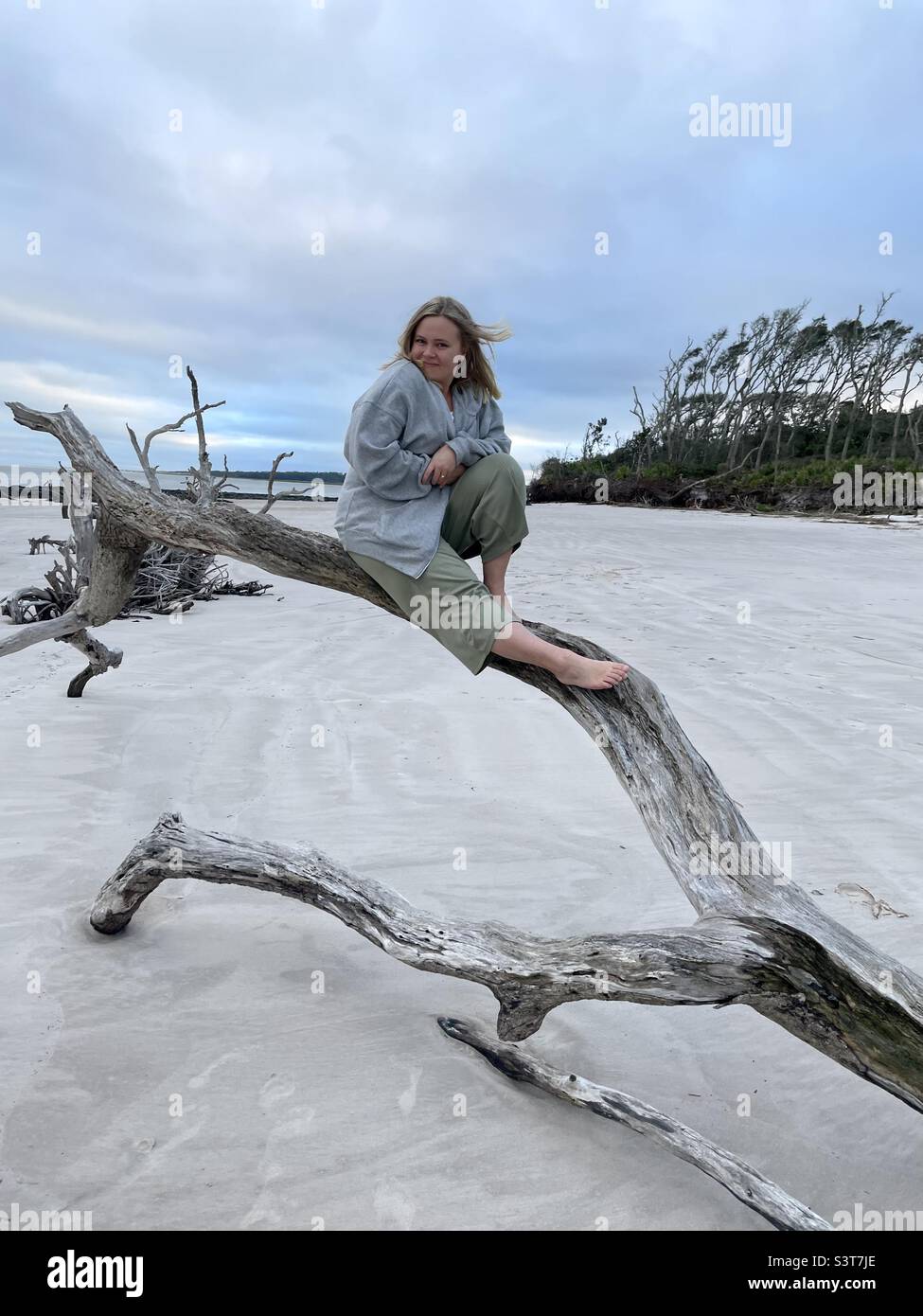 Elephant graveyard hi-res stock photography and images - Alamy