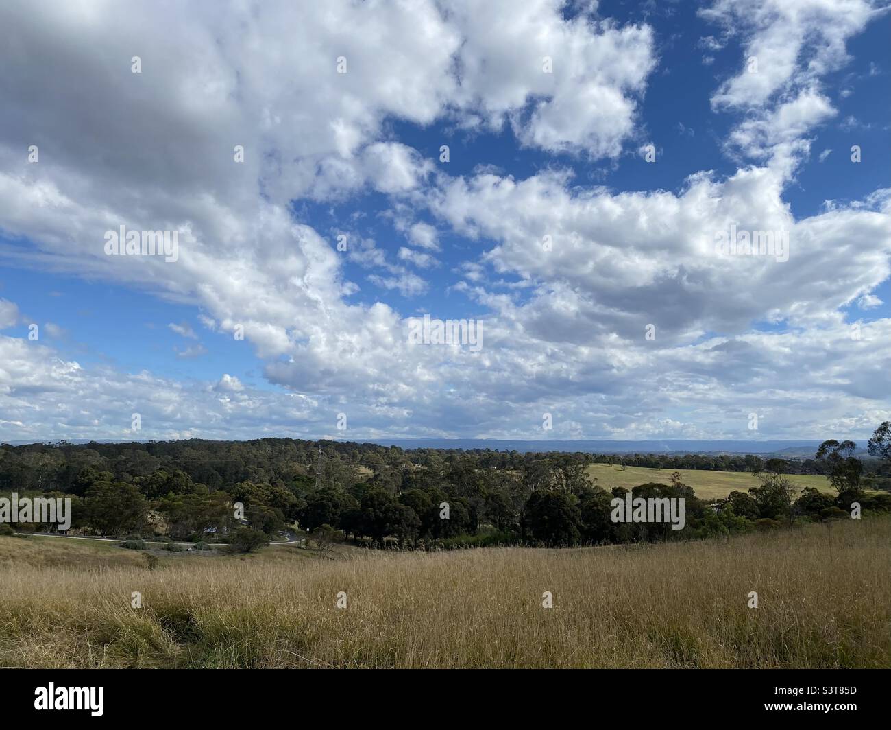 Australian botanic garden mount annan hi-res stock photography and ...
