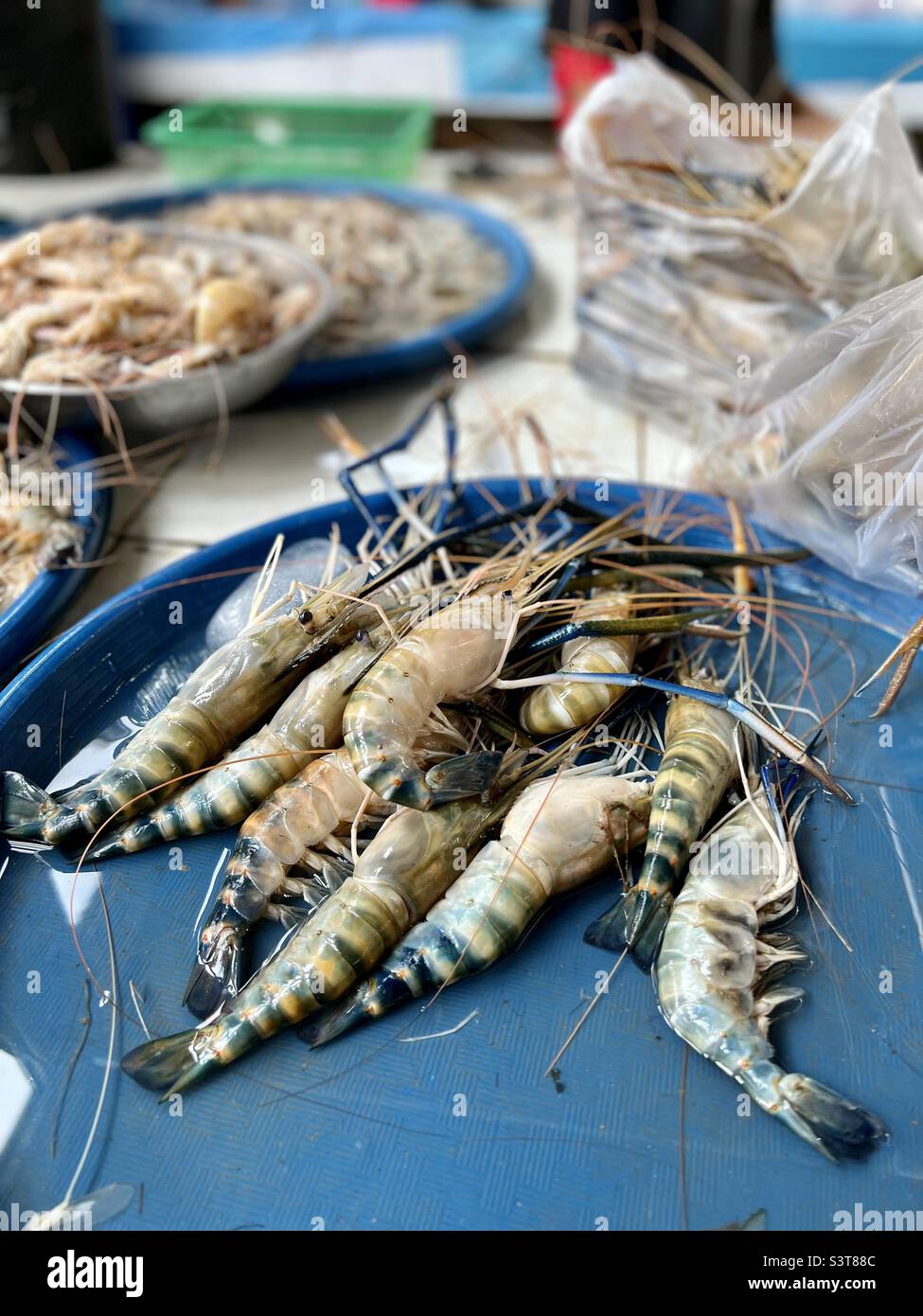 Fresh shrimp hi-res stock photography and images - Alamy
