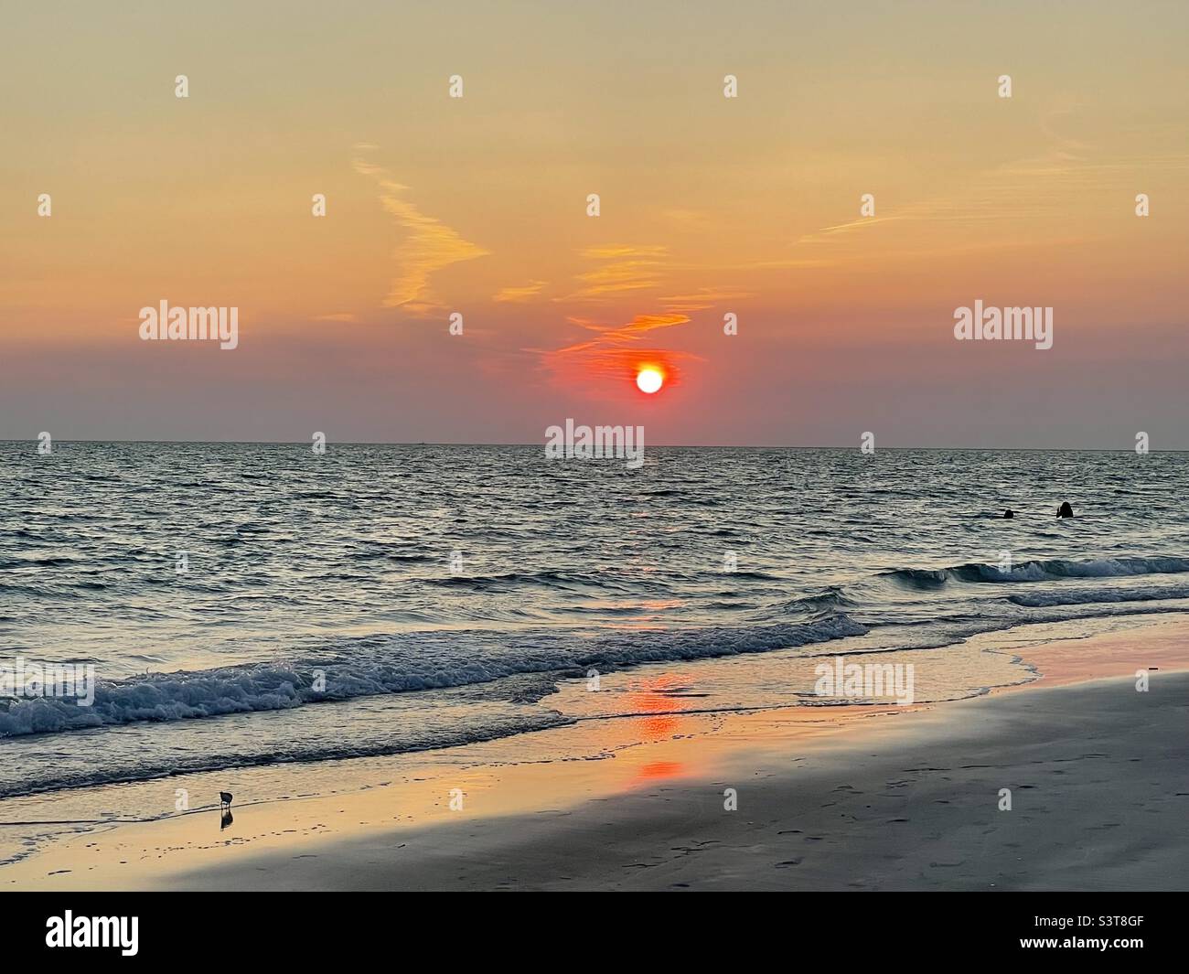 Anna maria island and beach hi-res stock photography and images - Alamy
