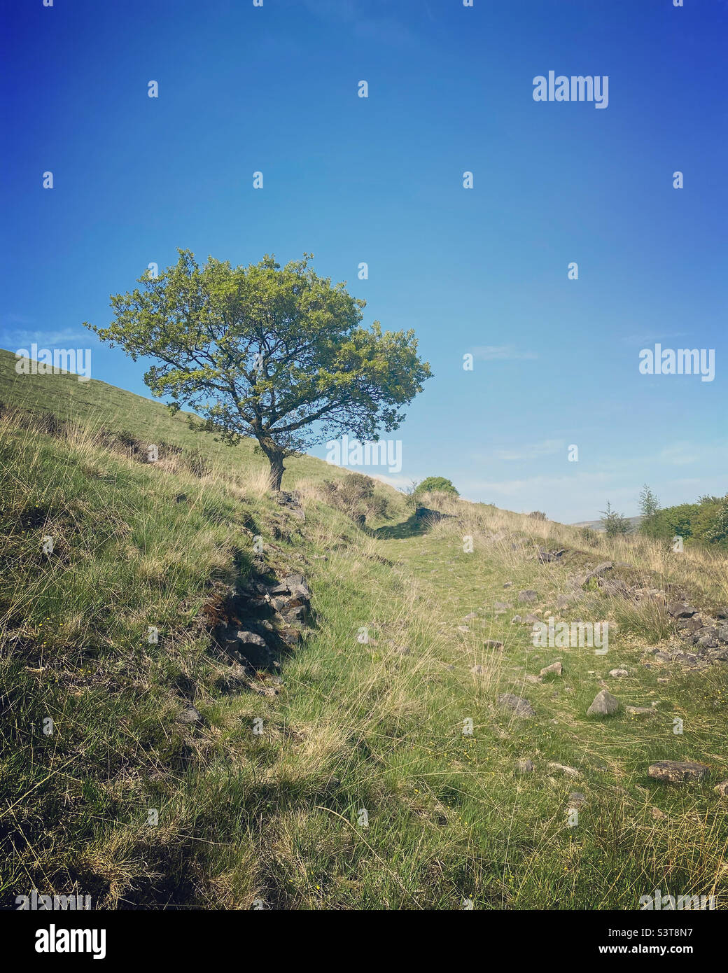 Lonely hills hi-res stock photography and images - Alamy