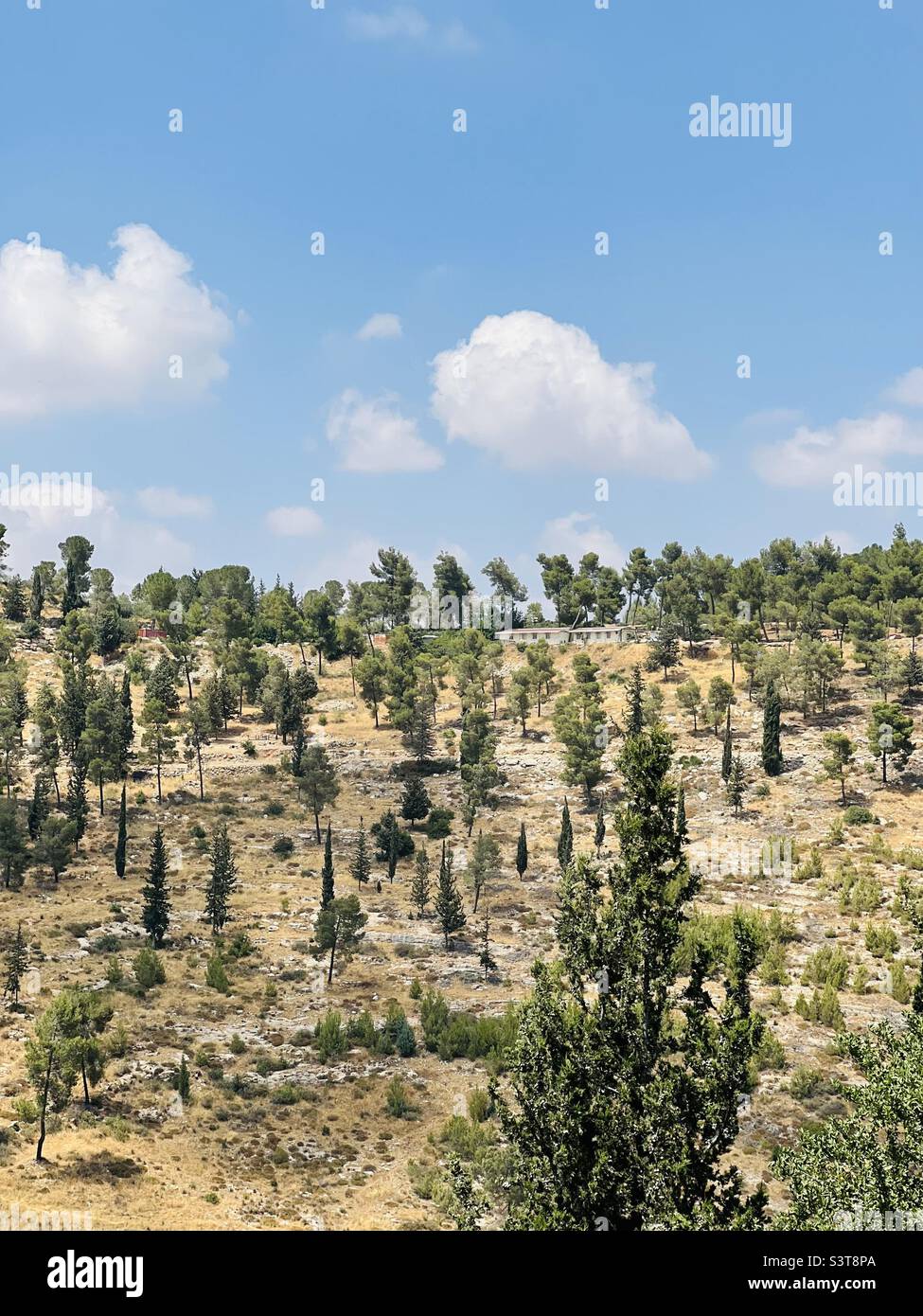 Jerusalem mountains hi-res stock photography and images - Alamy