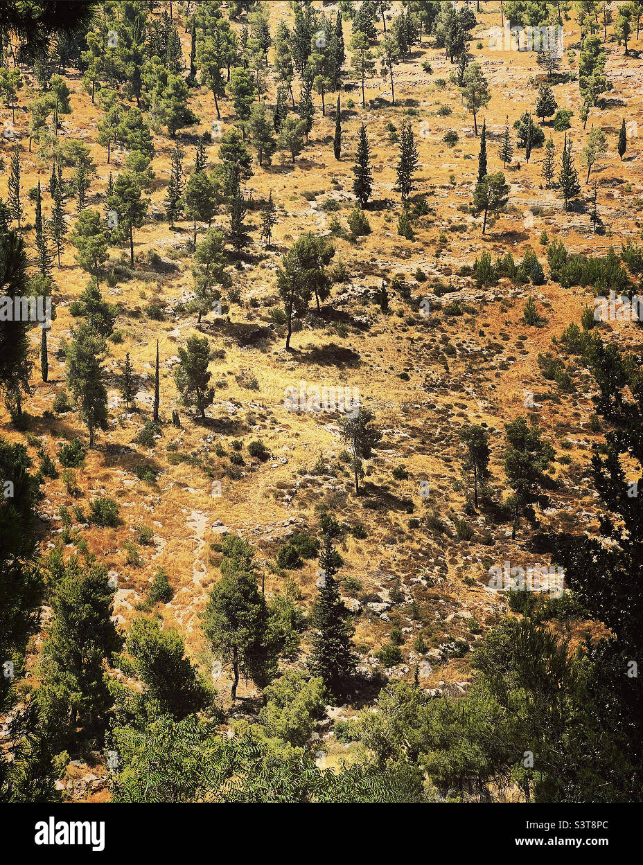 Mountains of Jerusalem, Israel Stock Photo - Alamy