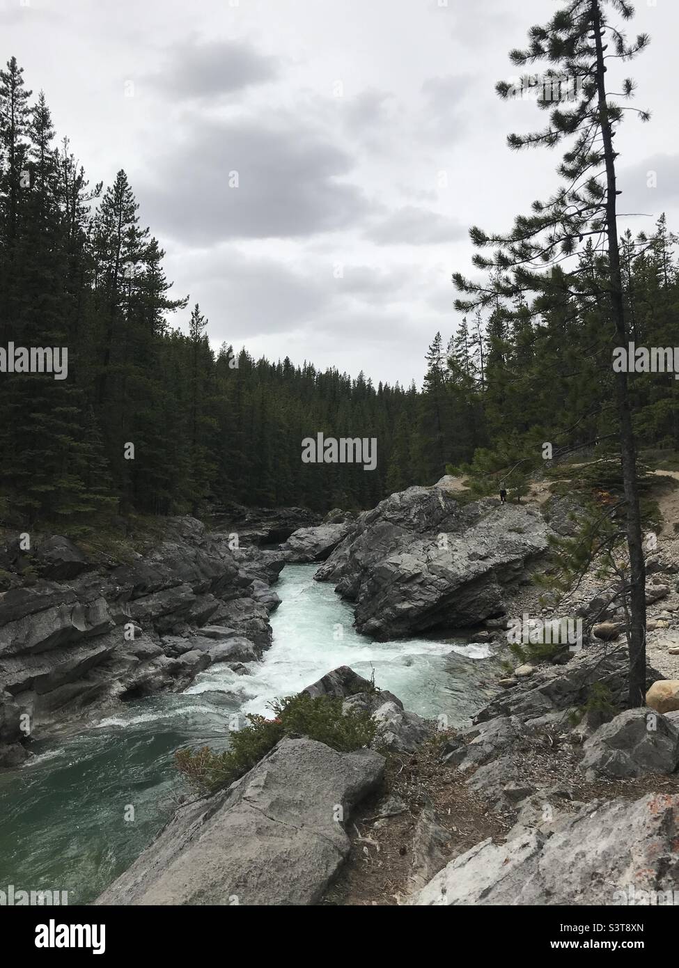 Water trees mountain alberta hi-res stock photography and images - Alamy