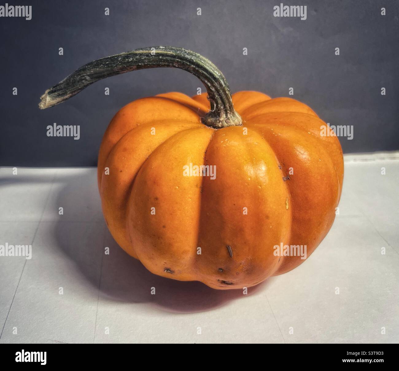 Little miniature pumpkin Stock Photo - Alamy