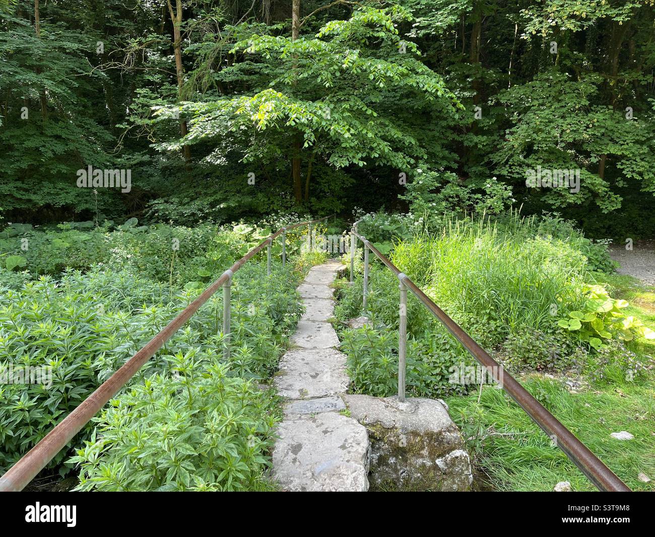 Bridge over River Lathkill at Lathkill Dale in the Peak District Stock ...