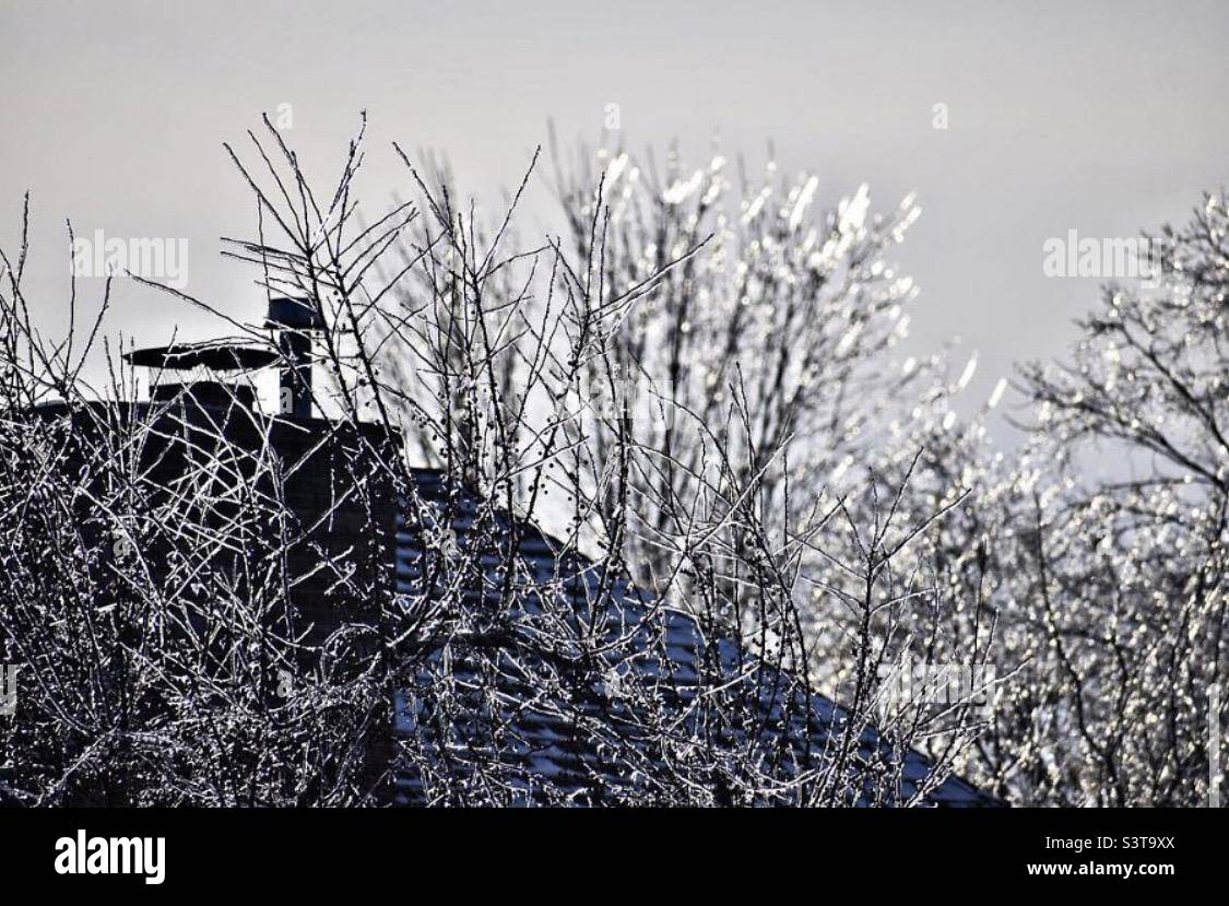 Trees ice hi-res stock photography and images - Alamy