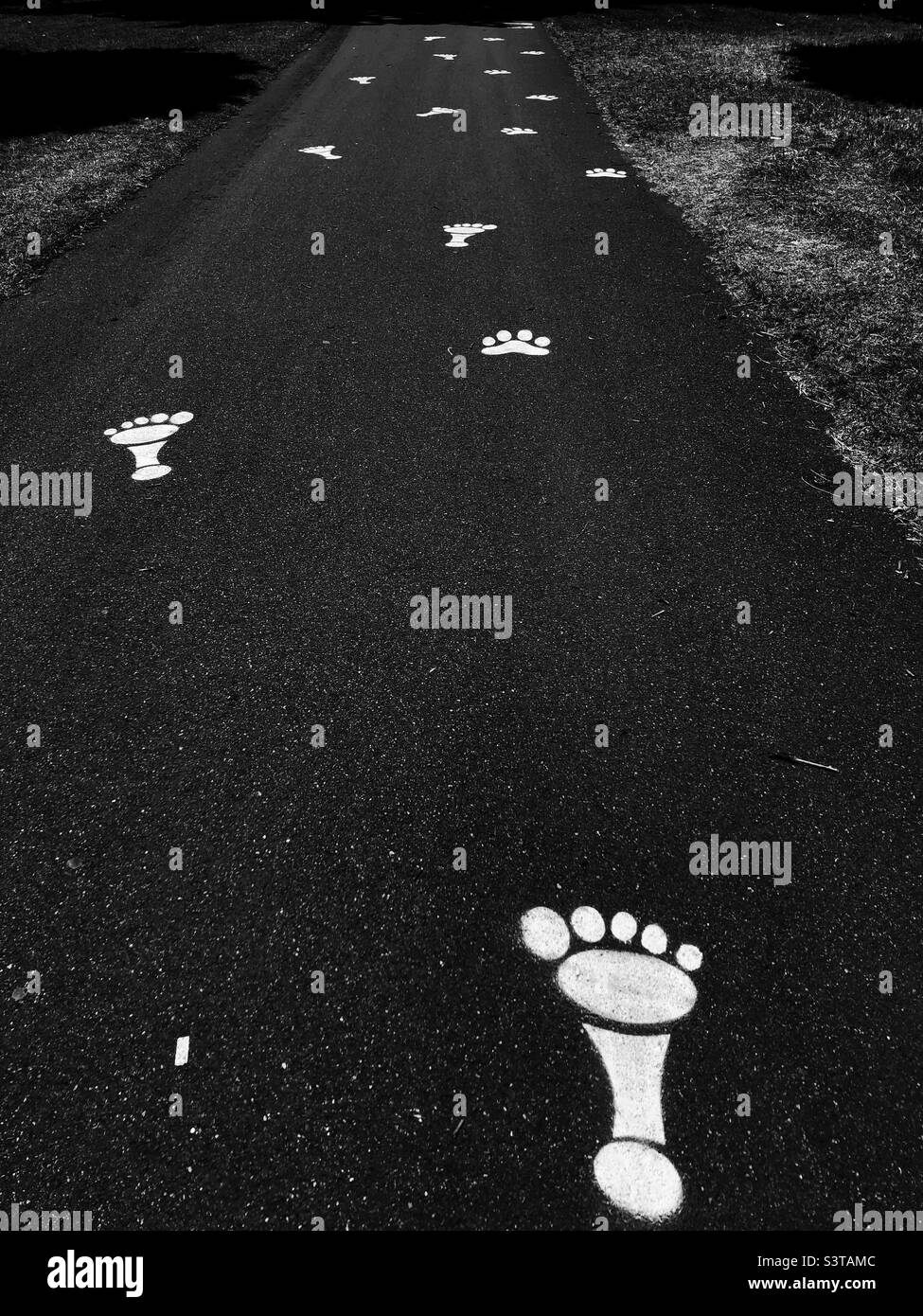 Stencil footprints and paw prints on a path Stock Photo - Alamy