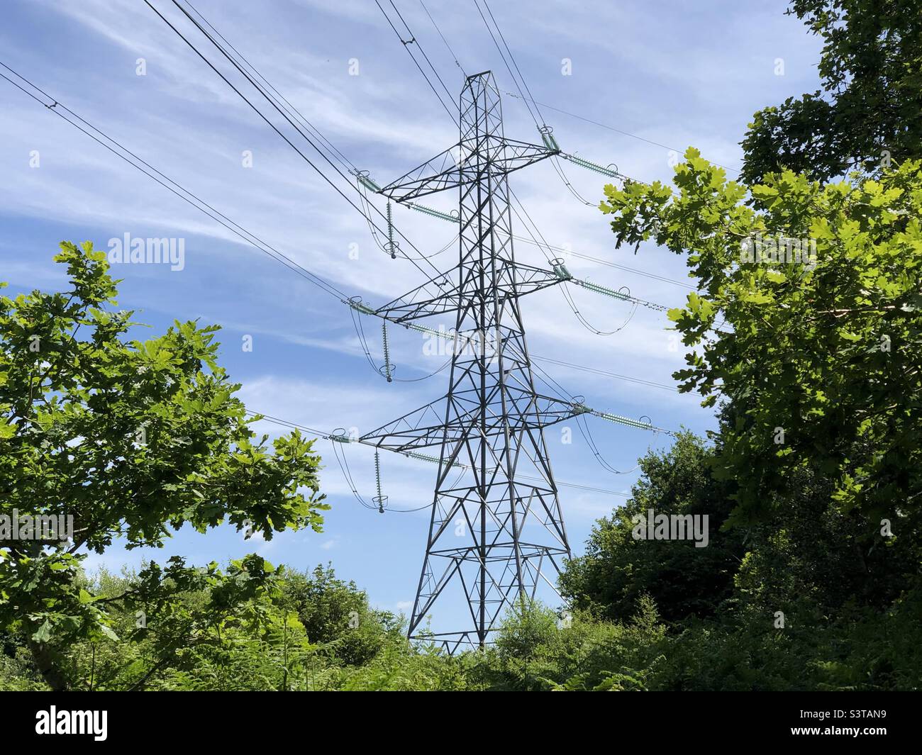 Pylon trees woods hi-res stock photography and images - Alamy