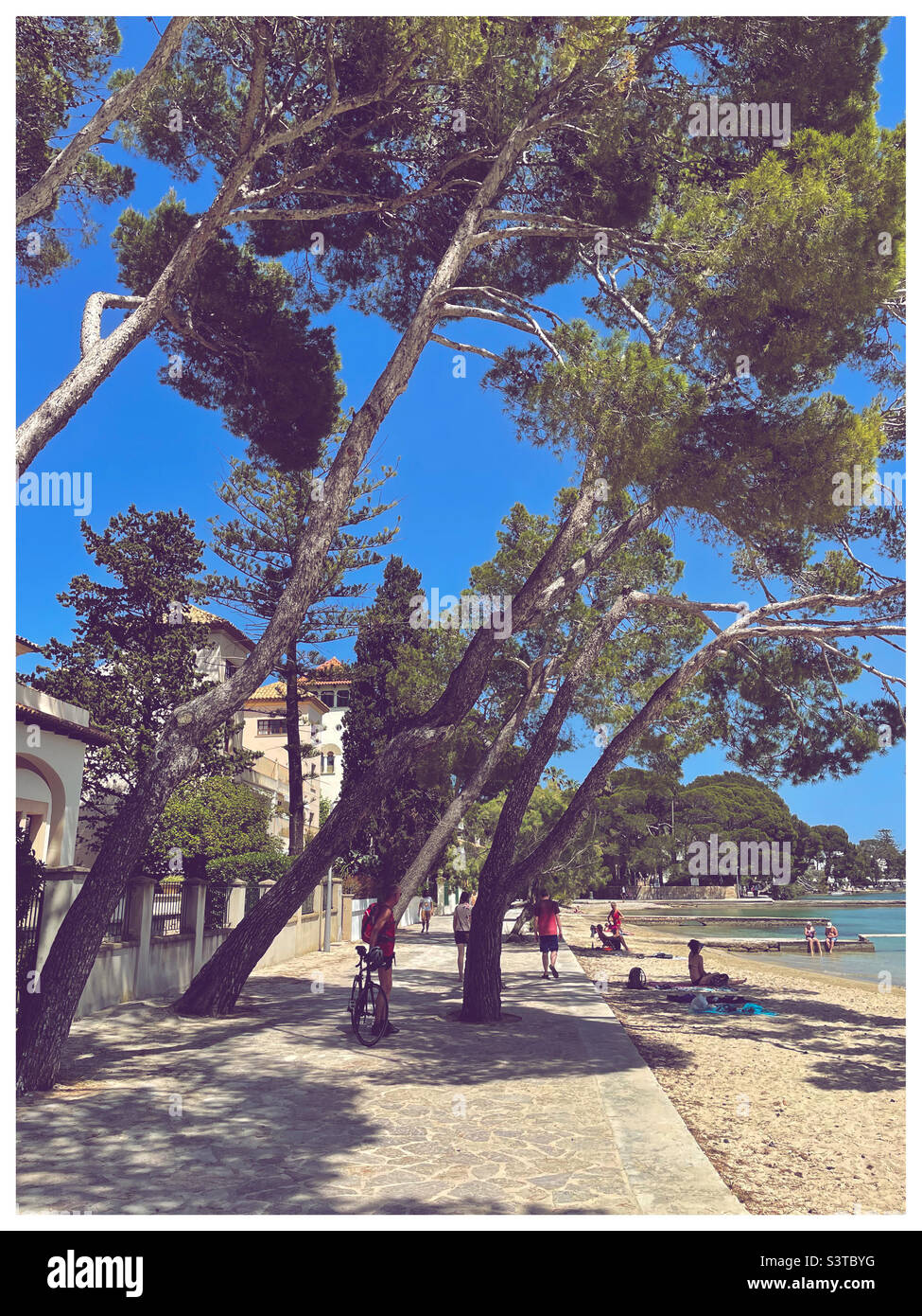 Puerto pollensa pine walk hi-res stock photography and images - Alamy