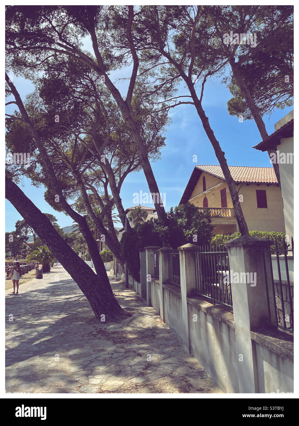 Puerto Pollenca pine walk Stock Photo - Alamy